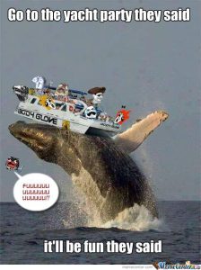 70 Funniest Boating Memes | Boat Alert Blog